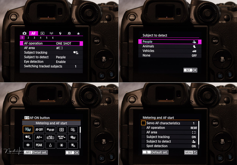 We Review the Canon EOS R7: How Does It Perform for Casual Photography ...
