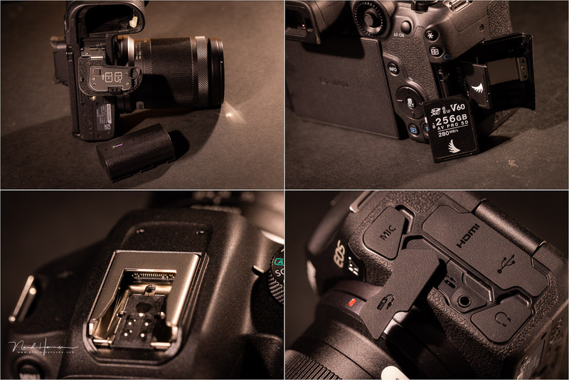 We Review the Canon EOS R7: How Does It Perform for Casual Photography ...