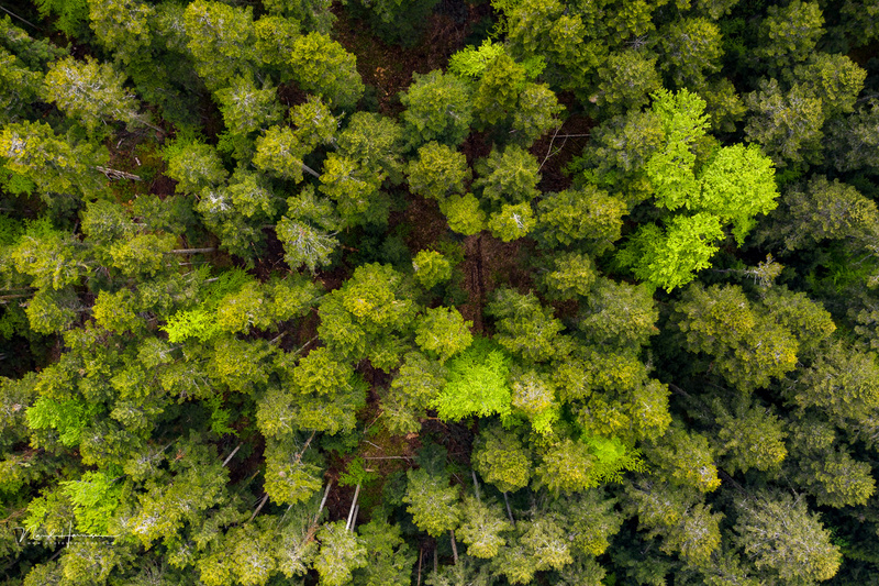 Using Positive and Negative Space for Composition in Photography ...