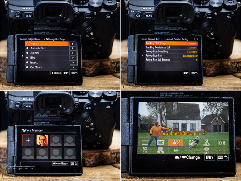 Which Photographer Is the Sony a7R V Intended For? A Critical Review | Fstoppers