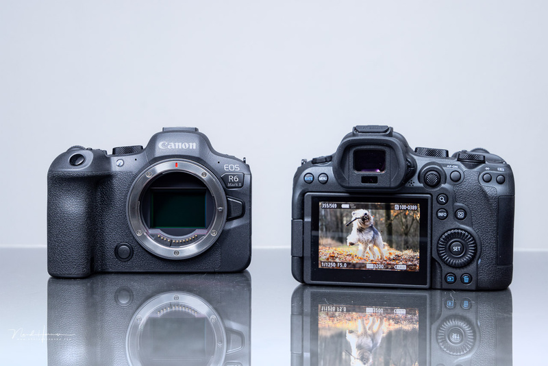 My Review of the Canon EOS R6 Mark II: Is It Better Than the First ...