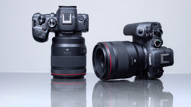 My Review of the Canon EOS R6 Mark II: Is It Better Than the First ...