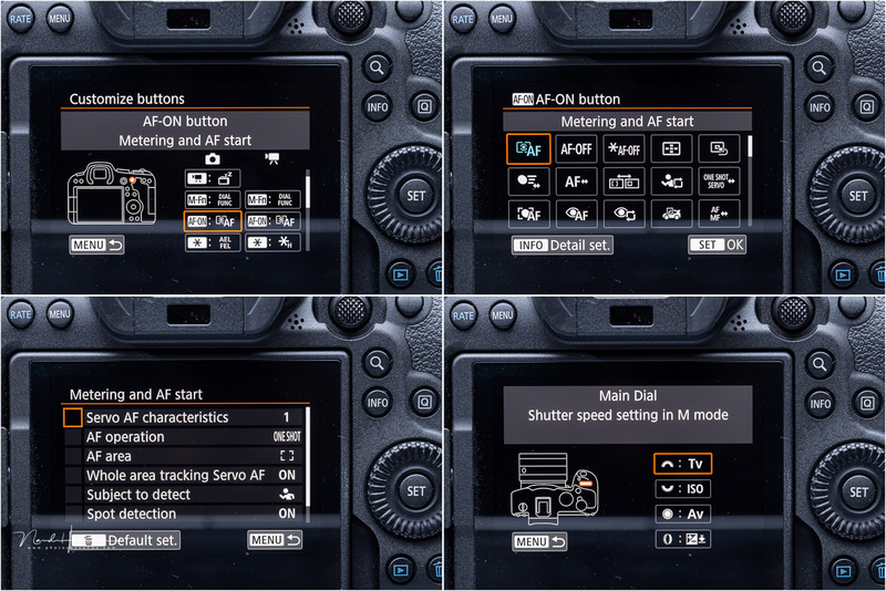 My Review of the Canon EOS R6 Mark II: Is It Better Than the First ...