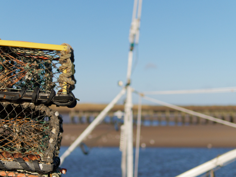 Why Some Photographers and Their Cameras Are Better at Getting a Correct Exposure Than Others ...