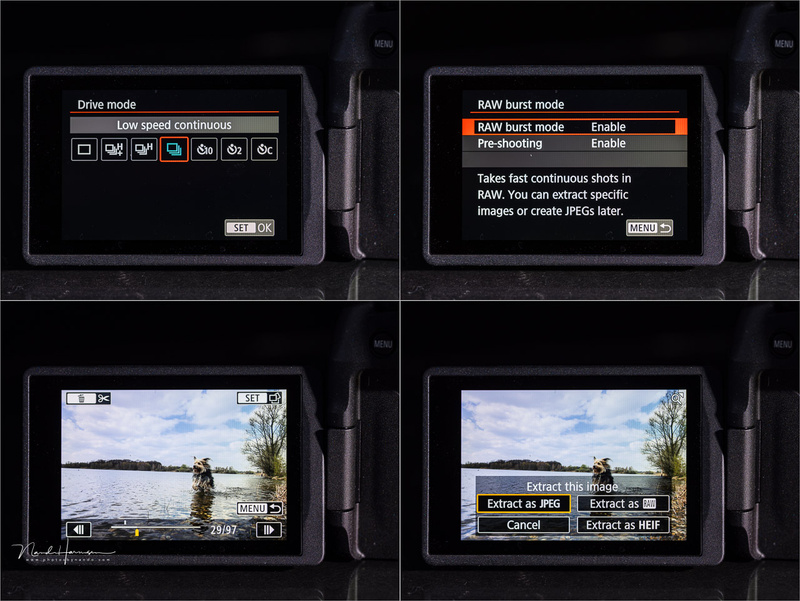 We Review the Canon EOS R8 Mirrorless Full Frame Camera | Fstoppers