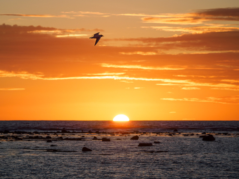 The Four Outstanding OM System f/4 PRO Zoom Lenses: We Review the Range | Fstoppers