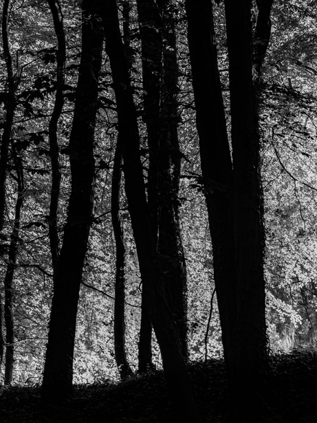 Why Embracing Abstract Photography Will Improve All Your Images and How ...