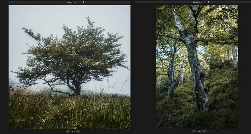 Color-Match Any Image Using This Simple Yet Effective Plugin | Fstoppers