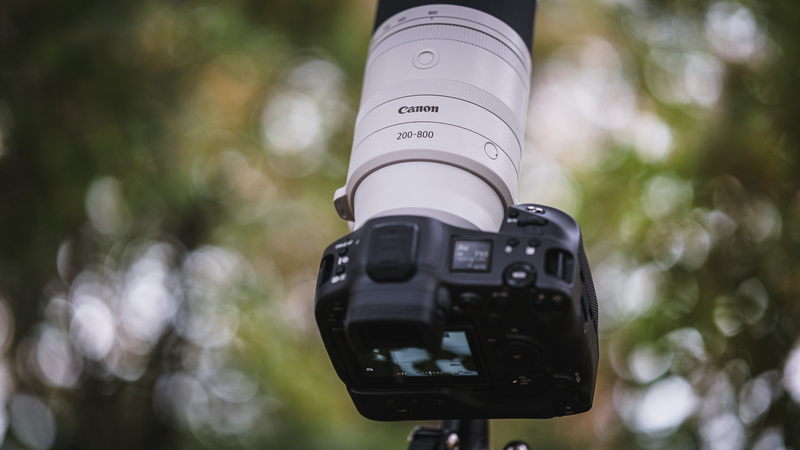 The Ultimate Aerial and Wildlife Lens? We Review the New Canon RF 200 ...