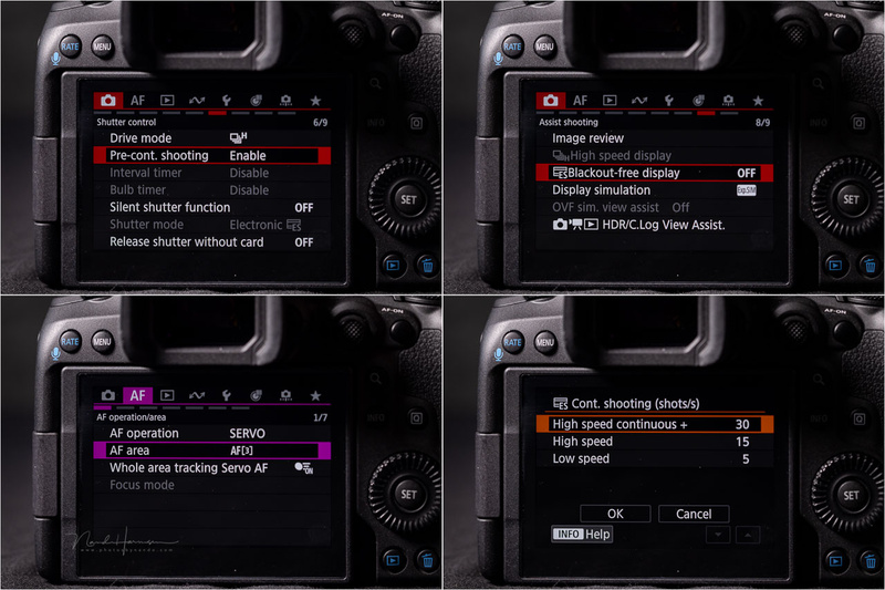 Review of the Canon EOS R5 Mark II: Is It Worth the Upgrade? | Fstoppers