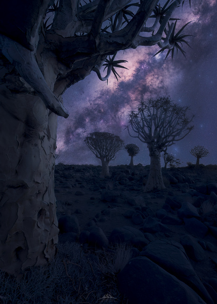 Quiver Nights - Hugo Valle on Fstoppers