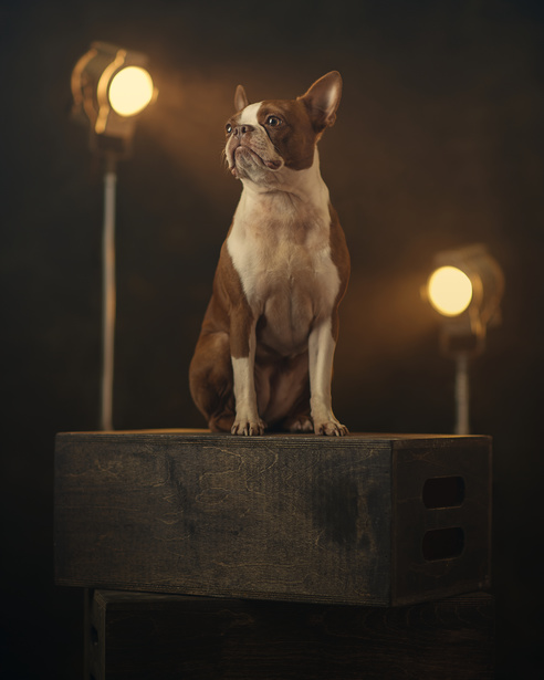 She's a star. - Michael Devaney on Fstoppers