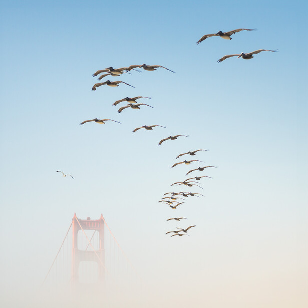 Finding Unique Perspectives at The Most Photographed Bridge In The ...
