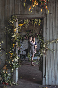 Beauty Blooms in Blight: Striking Photos Show Burst of Color in ...