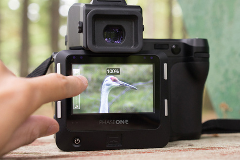 Fstoppers Reviews the Phase One XF for Landscape and Nature Photography ...