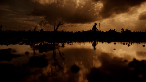 Five Types of Ambient Light You Should Know How to Use in Photography ...