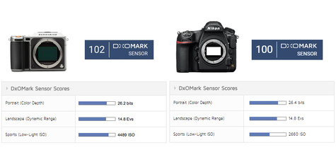 Move Over Nikon: Hasselblad X1D Beats the D850 on DxOMark With a Score ...