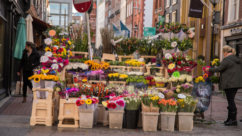 The Real-World Nikon D850 Camera Review in Ireland | Fstoppers