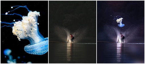 Combining Strangers' Photos to Create Digital Art | Fstoppers