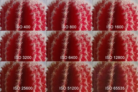 Do You Know the Maximum Acceptable ISO Value for Your Camera? | Fstoppers