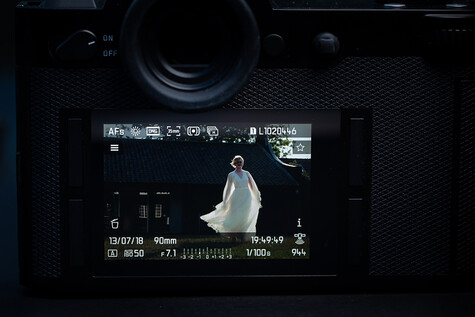 Seven Things That Are Good to Know When Your Camera Has an Electronic ...