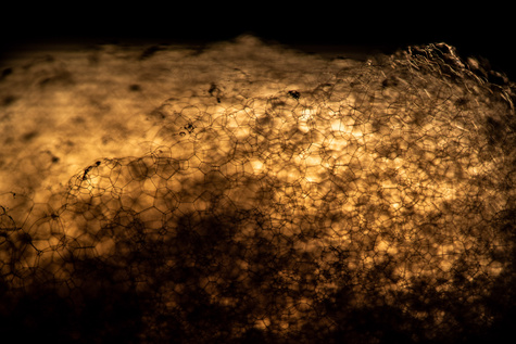 Seven Great Macro Photography Ideas to Shoot at Home | Fstoppers