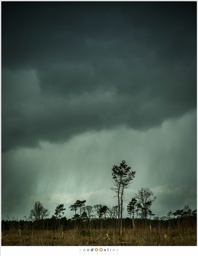 Shooting Landscapes in Bad Weather | Fstoppers