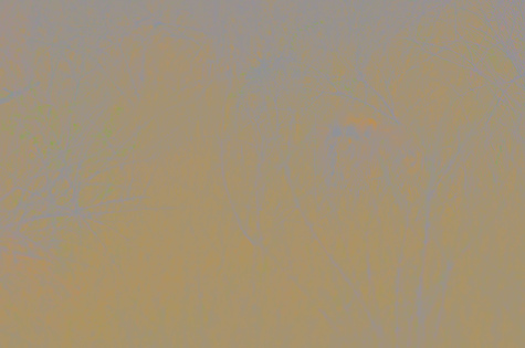 Neuroscience Kung Fu: Use Contrast to Immediately Guide the Eye to the ...