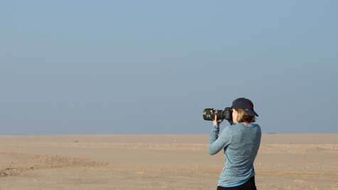Dust and Rain Covers: A Comparison from Africa (Part Two: Enclosure ...