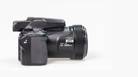 A Review: Shooting With the Nikon Coolpix P1000 | Fstoppers