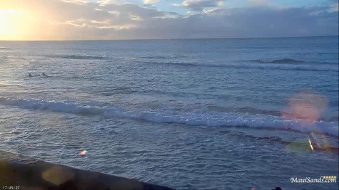 10 of the Most Interesting and Entertaining Live Cameras You Can Watch ...