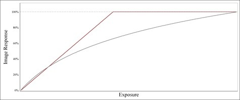 Want to Try Double Exposures? Forget Everything Else You’ve Read ...