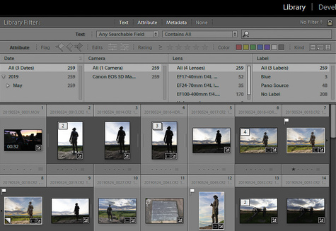 Everything You Ever Wanted to Know About the Lightroom Filter Bar ...