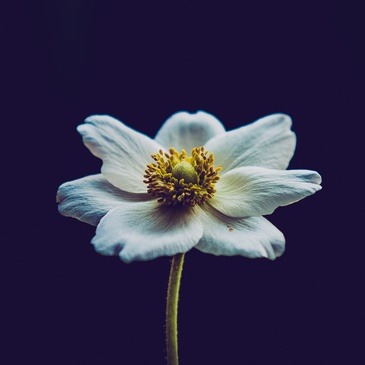 Sometimes, Small and Insignificant Is Perfect to Photograph | Fstoppers