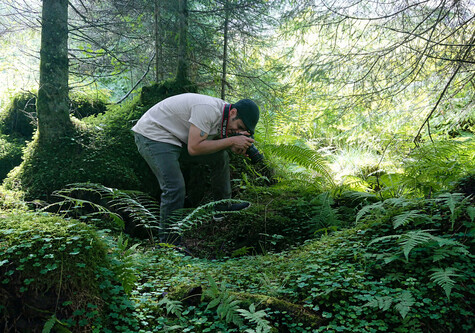 Photographer Turns His Fear of Bugs Into Passion for Shooting World's ...
