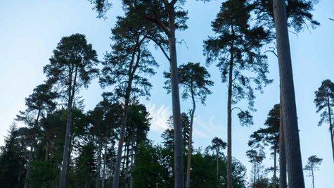 How to Remove Color Fringing in Lightroom | Fstoppers