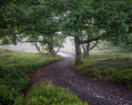 7 Simple Tips to Create a Strong Depth in Your Photos | Fstoppers