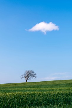 Seven Tips to Take Stunning Photos in Your Regular 'Boring' Landscapes ...