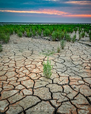 The Orientation of a Landscape Photo: Why Vertical Is Sometimes Better ...