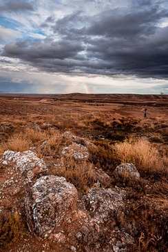 Capturing the Magic Moment: All You Need to Know About Photographing ...