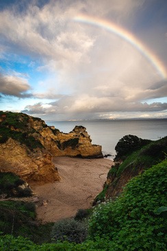 Capturing the Magic Moment: All You Need to Know About Photographing ...