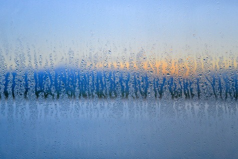 11 Ways To Improve the Sharpness of Your Images, Part 6: Dust and ...