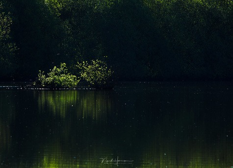 A Closer Look at High Key and Low Key Photography | Fstoppers