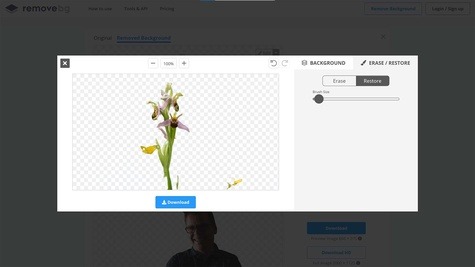 Remove Backgrounds Automatically in 5 Seconds With This Free Tool ...