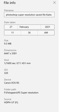 Testing Adobe's New Super Resolution on Heavily Cropped Images: What ...