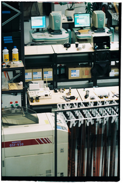 Fstoppers Interviews the Team Running One of the Most Sustainable Film ...