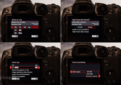 We Review the Canon EOS R7: How Does It Perform for Casual Photography ...