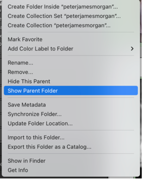 Optimize, Organize, and Speed Up: Tips for Lightroom Classic | Fstoppers