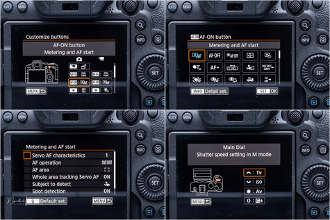 My Review of the Canon EOS R6 Mark II: Is It Better Than the First ...