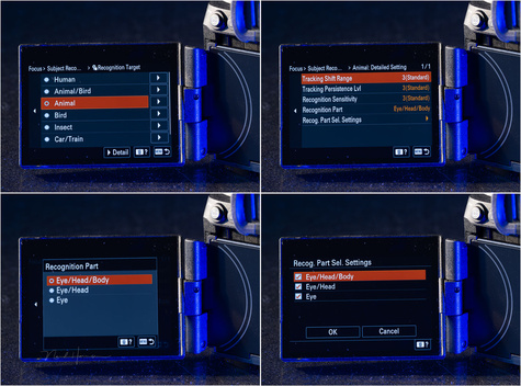 Review of the Sony a9 Mark III Without Focusing Too Much on the Global Shutter | Fstoppers